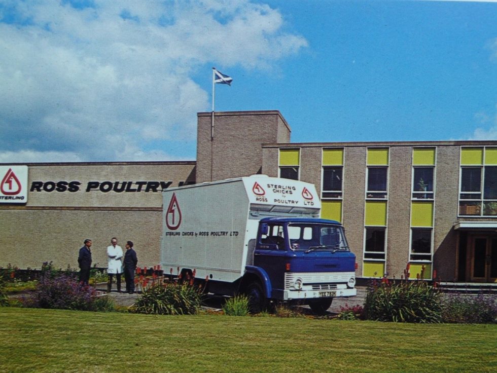 Ross Breeders Ltd - Redcomb Genetics