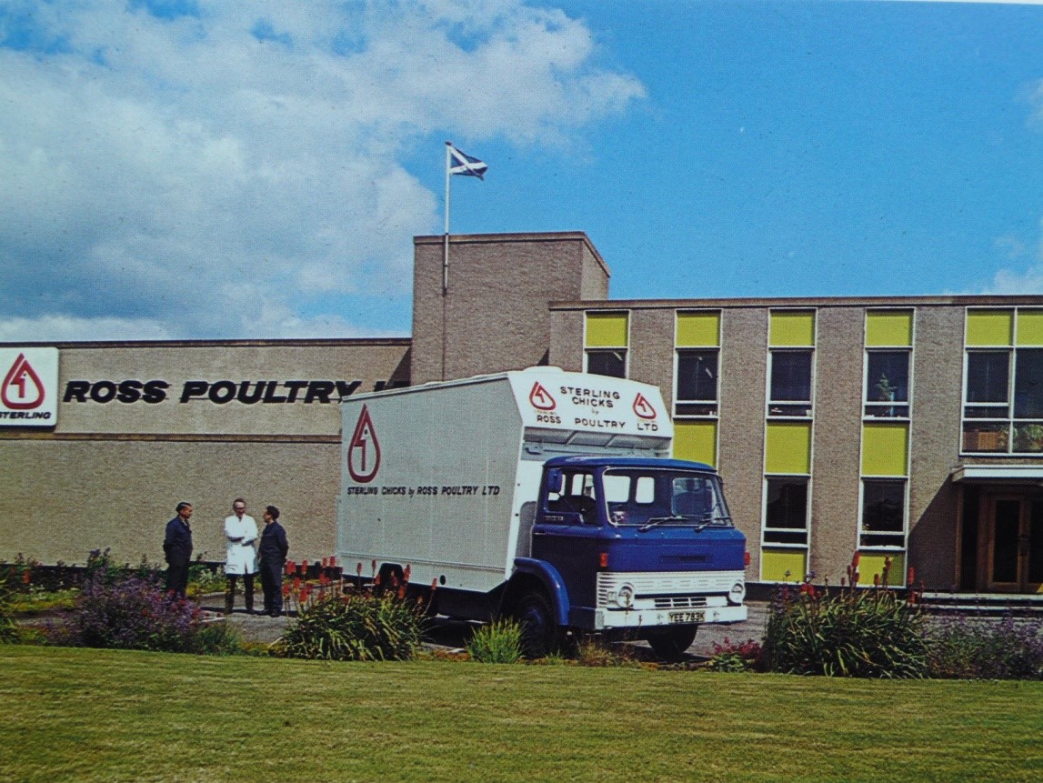 Histories Blog | Redcomb Genetics