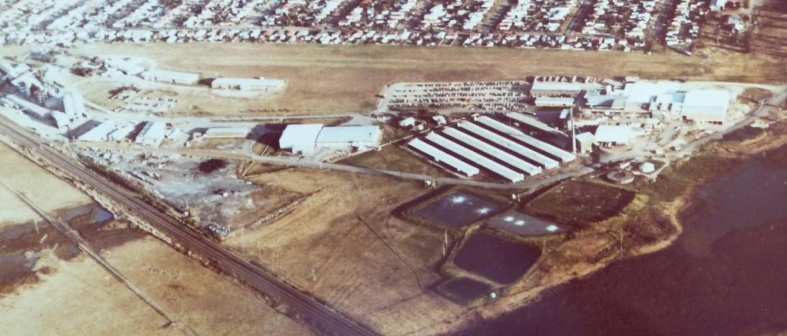 Histories Blog | Redcomb Genetics